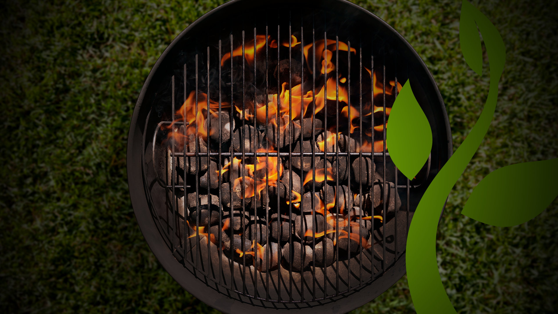 Home - Plant Matter Kitchen